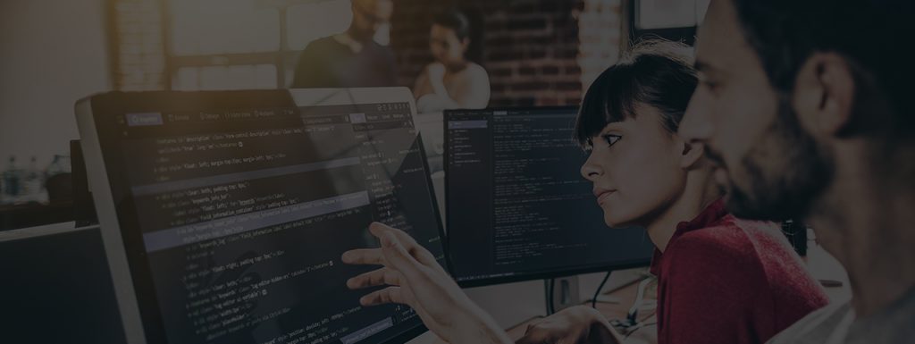 Custom Software Engineering Services | Daffodil Software